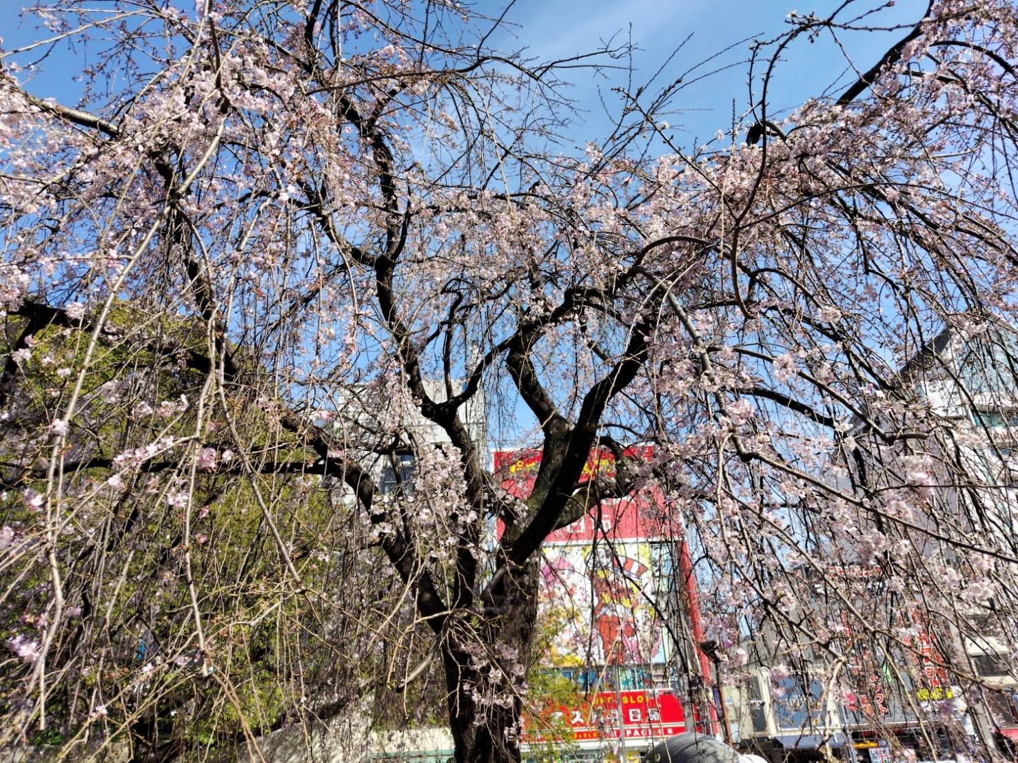 イベント風景 – 株式会社GETSYSTEM