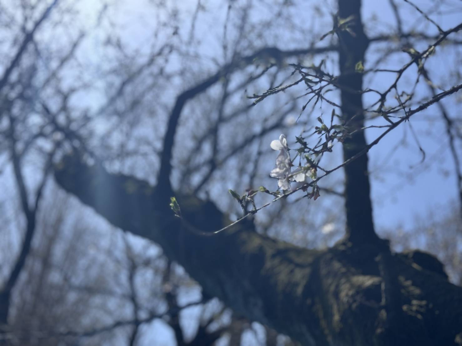 イベント風景 – 株式会社GETSYSTEM